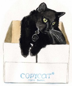 A Purr-fect Storm – The Mount Washington Weather Cats – Eric Pinder ...